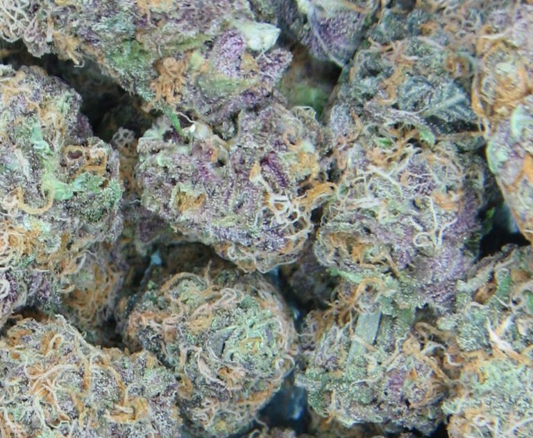 Auto Blue Dream Feminized (+ Free Seeds) | CG Australia